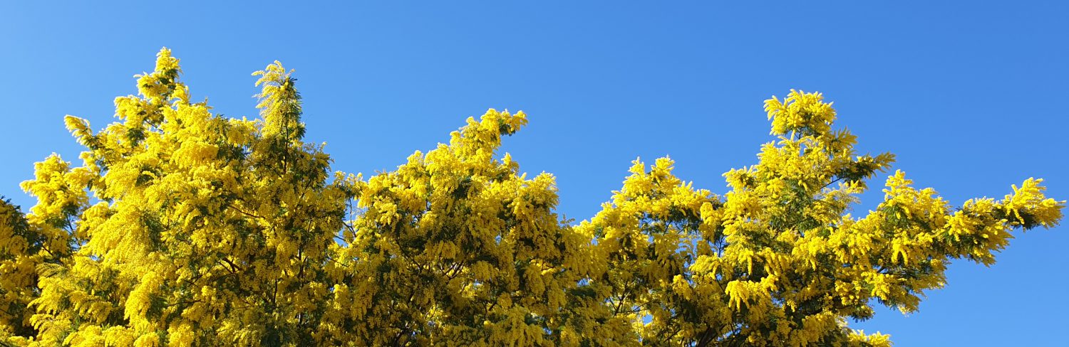 Martin Mulder – Em. Professor of Education