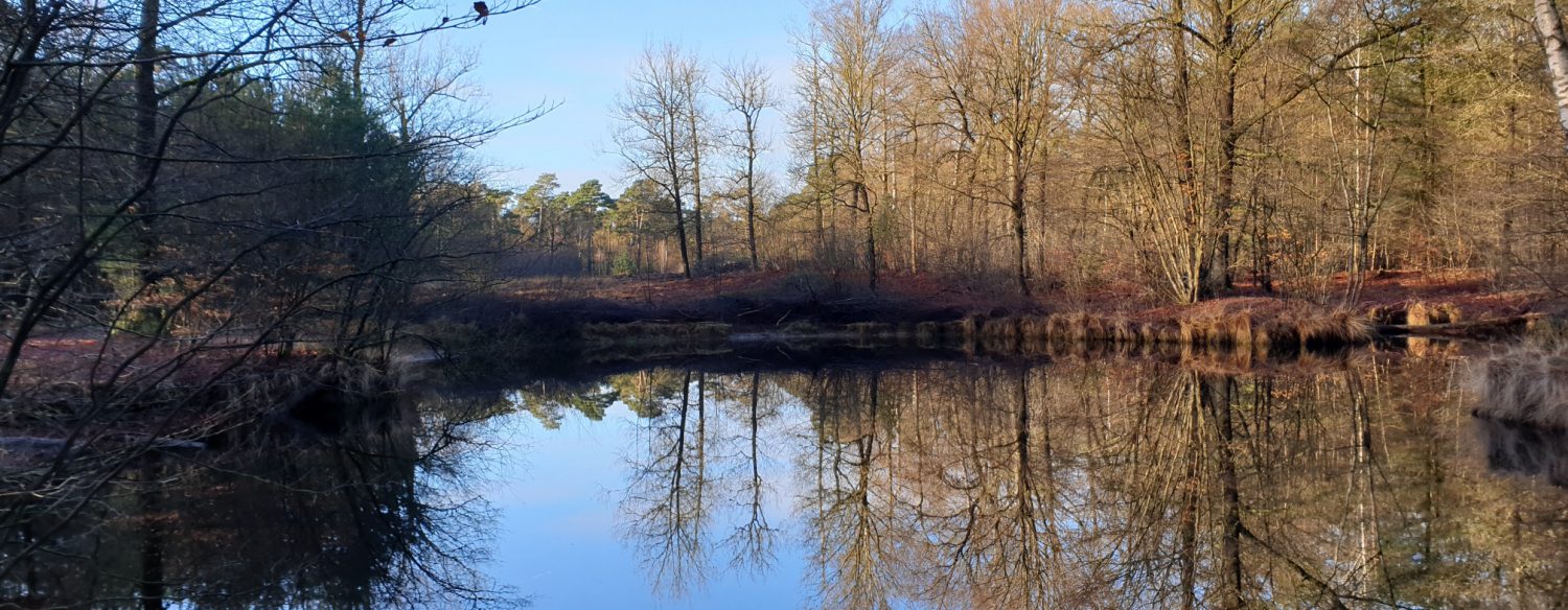 Martin Mulder – Em. Professor of Education