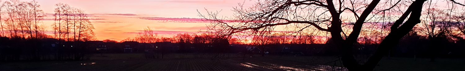 Martin Mulder – Em. Professor of Education